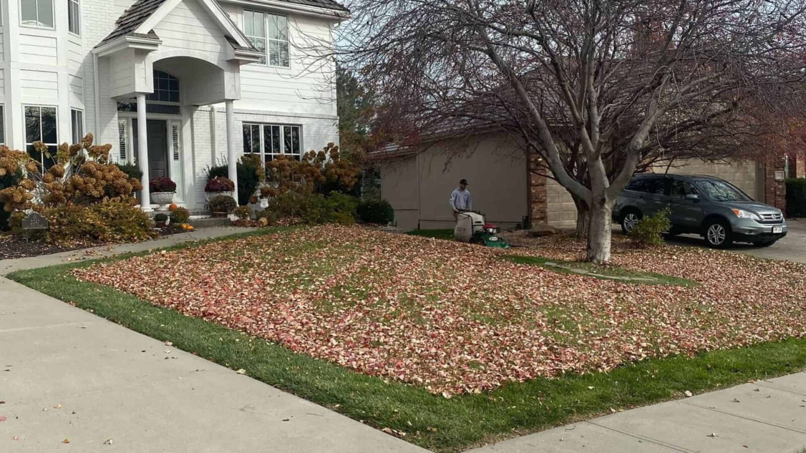 Seasonal Yard Cleanups | Michalski Lawn Care