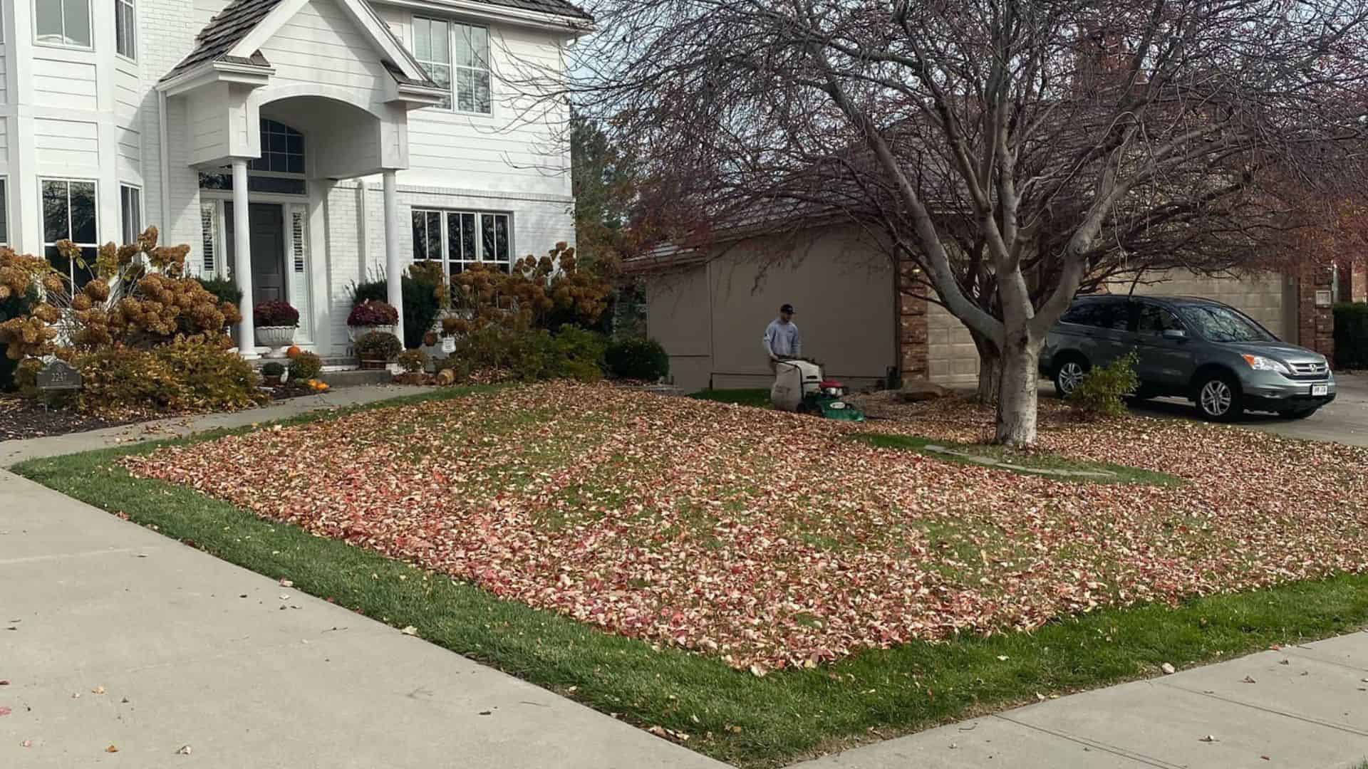 Seasonal Services | Michalski Lawn Care