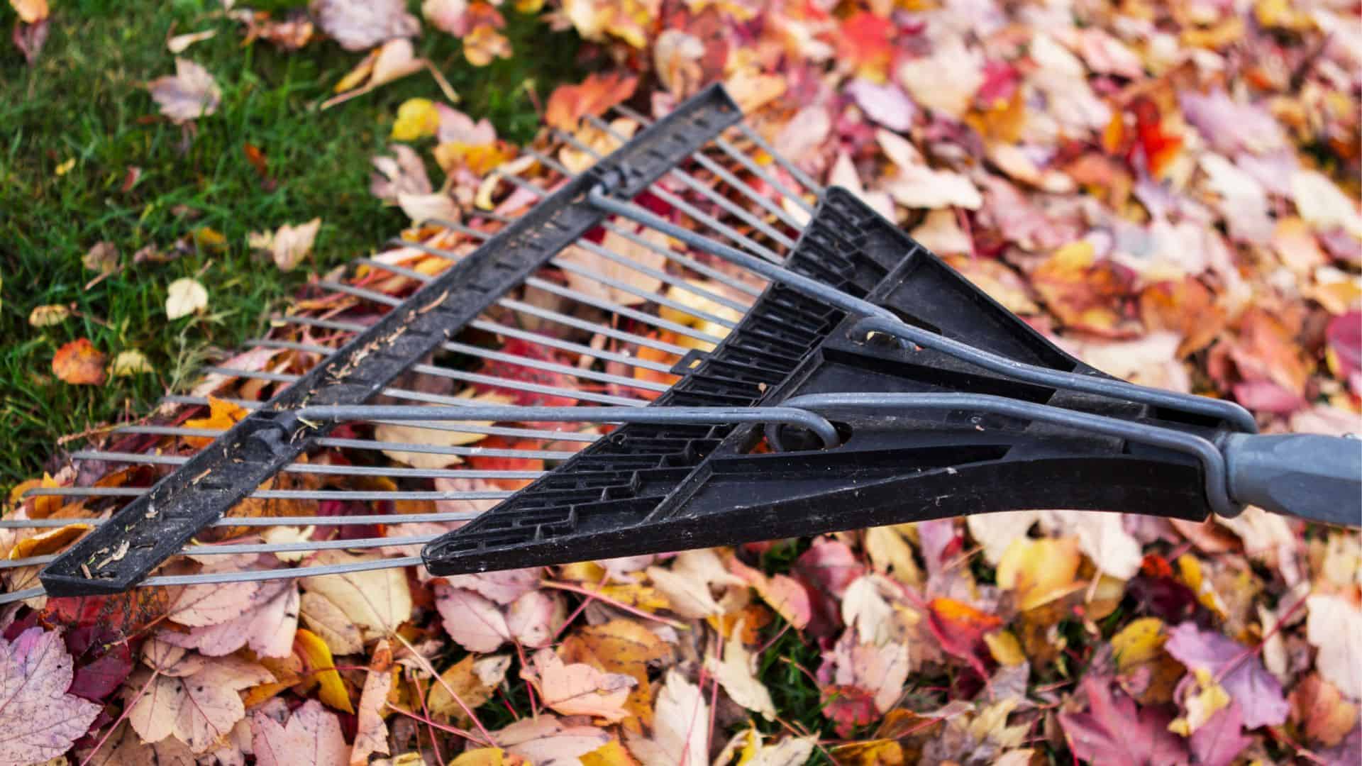 Seasonal Services | Michalski Lawn Care