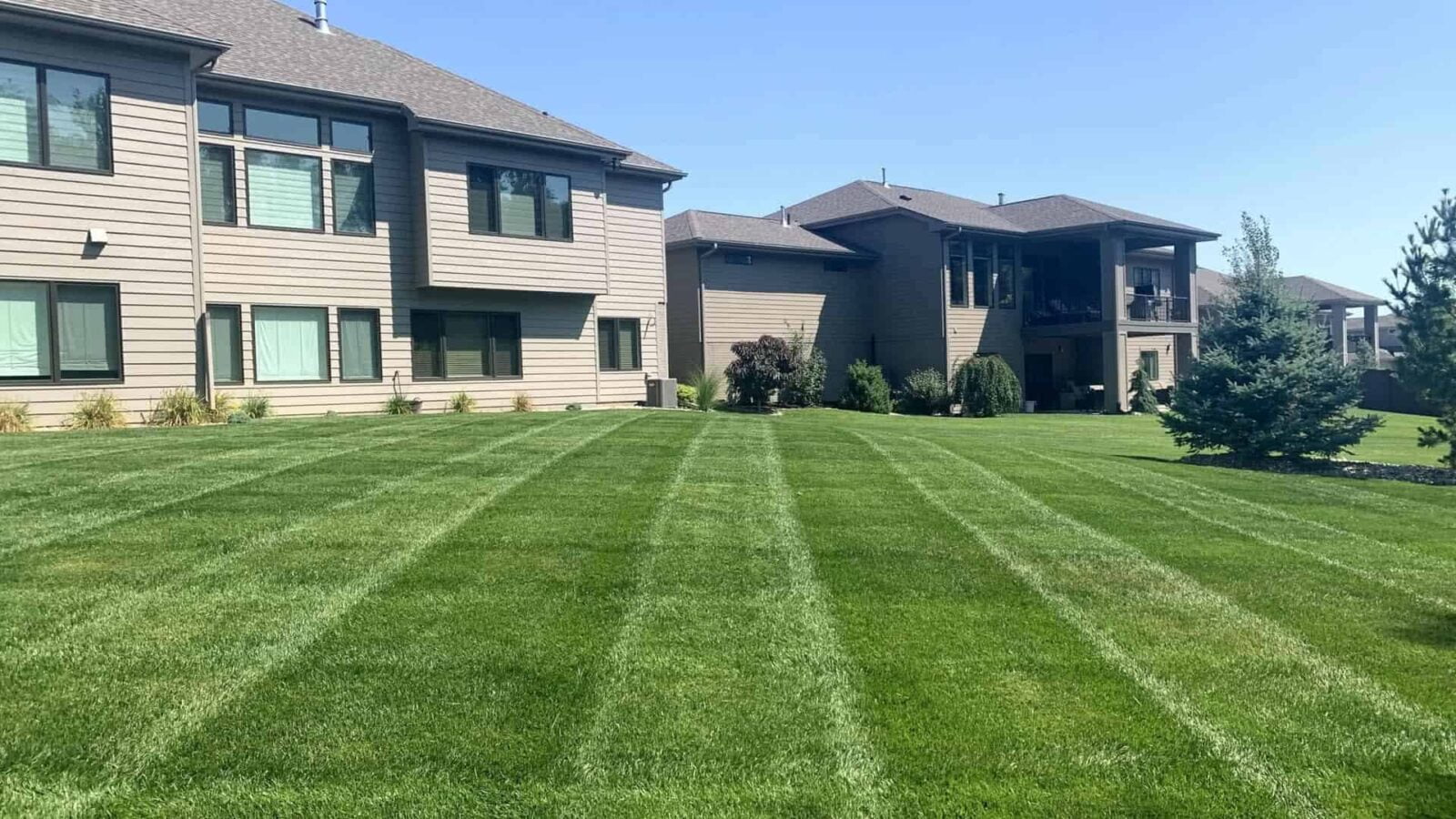 Galleries | Michalski Lawn Care